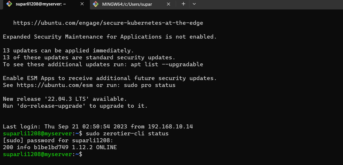 Cara Install Zerotier di Ubuntu 20.04 - suparli.com